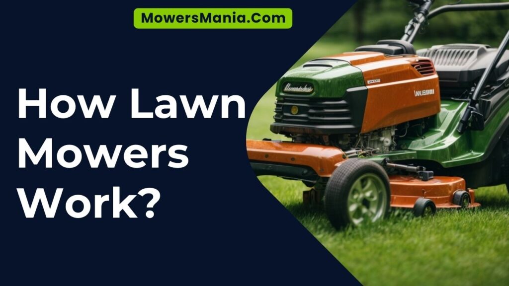 How Lawn Mowers Work? – MowersMania.Com