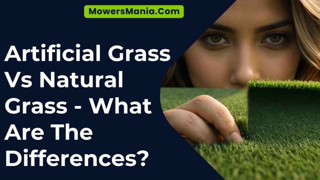 Artificial Grass Vs Natural Grass – What Are The Differences ...