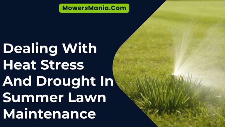 Dealing With Heat Stress And Drought In Summer Lawn Maintenance ...