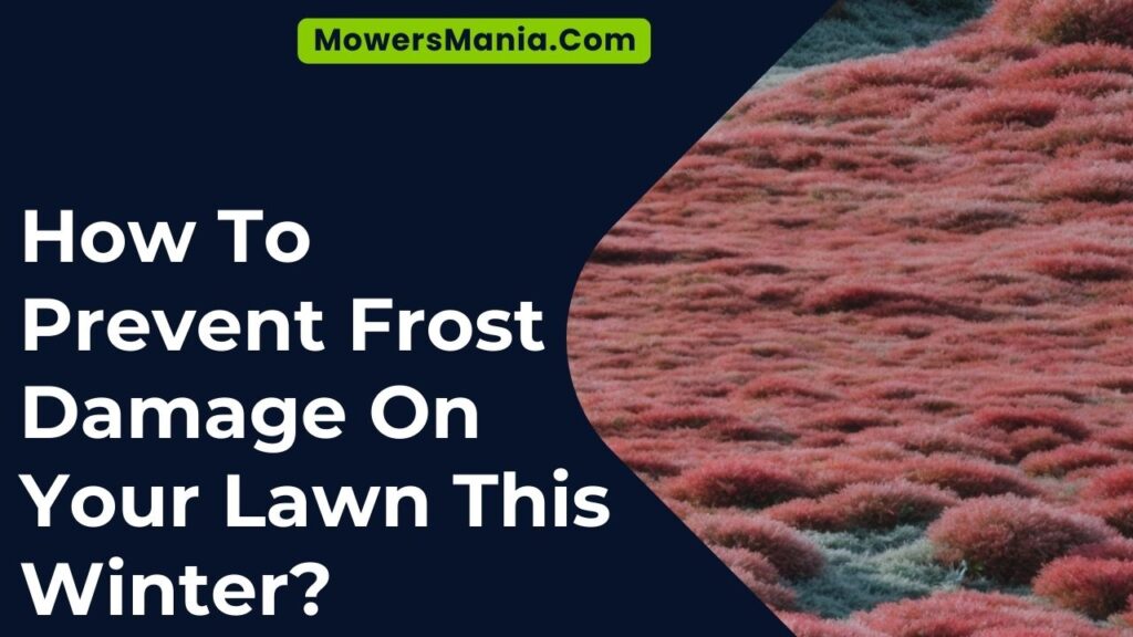 How To Prevent Frost Damage On Your Lawn This Winter? – MowersMania.Com