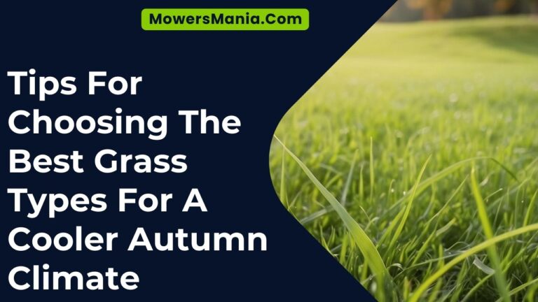 Tips For Choosing The Best Grass Types For A Cooler Autumn Climate ...