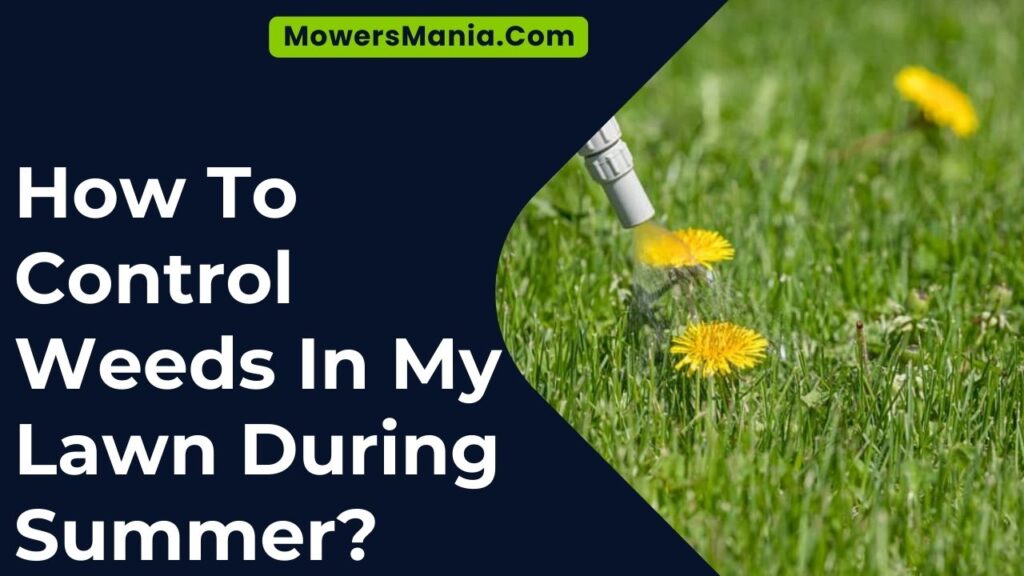 How To Control Weeds In My Lawn During Summer? – MowersMania.Com