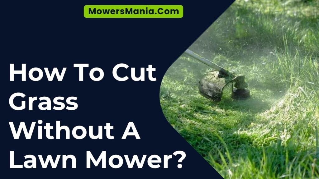 How To Cut Grass Without A Lawn Mower? – MowersMania.Com