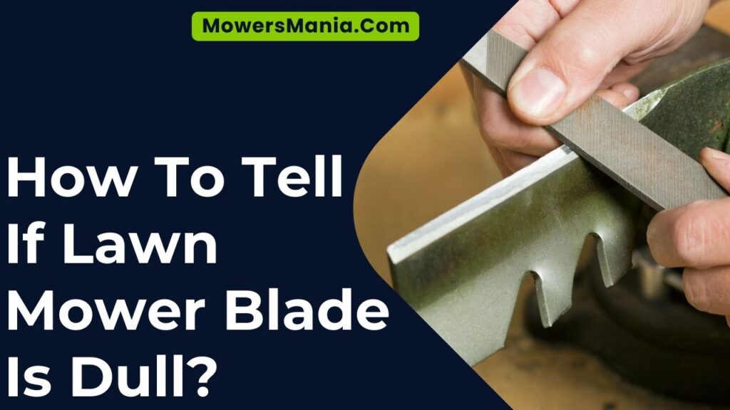 How To Tell If Lawn Mower Blade Is Dull? – MowersMania.Com