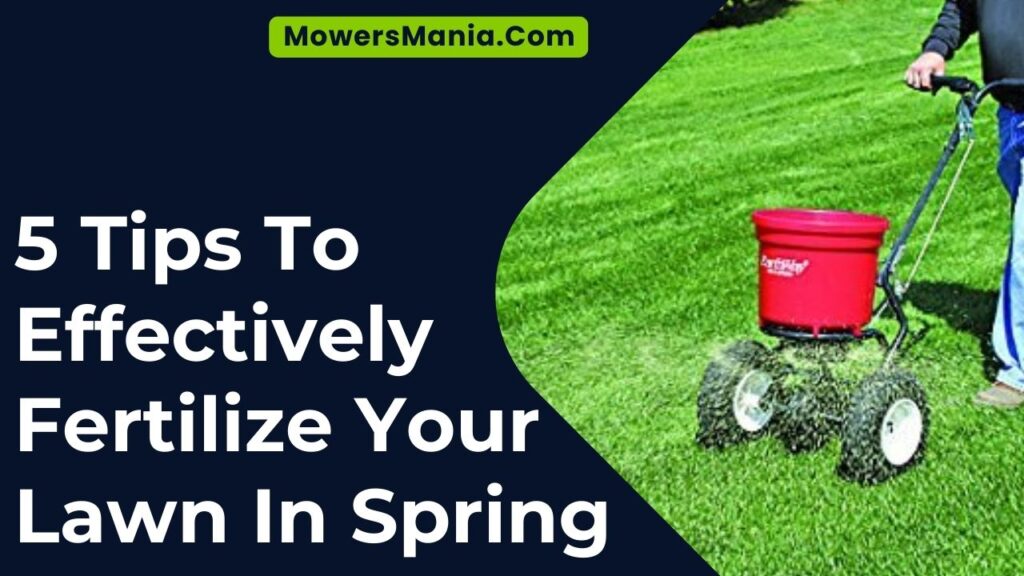 5 Tips To Effectively Fertilize Your Lawn In Spring – MowersMania.Com