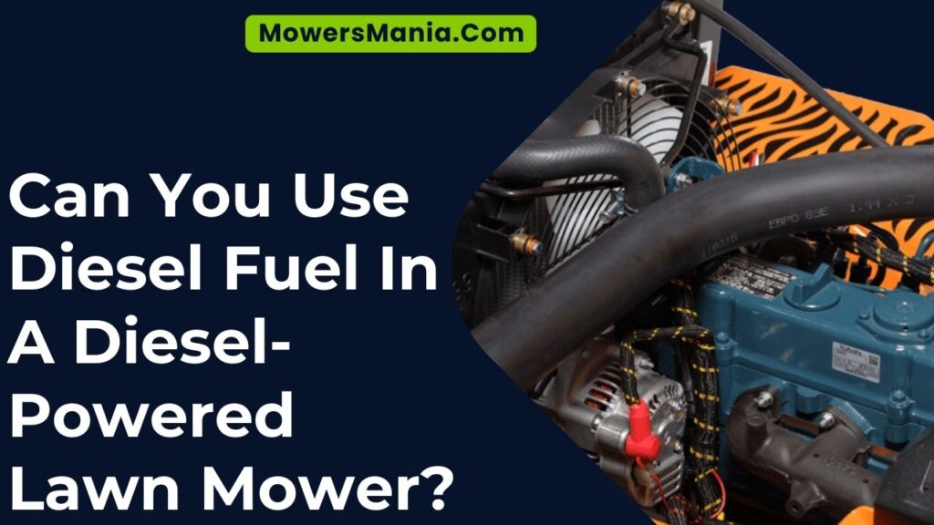 Can You Use Diesel Fuel In A Diesel-Powered Lawn Mower? – MowersMania.Com